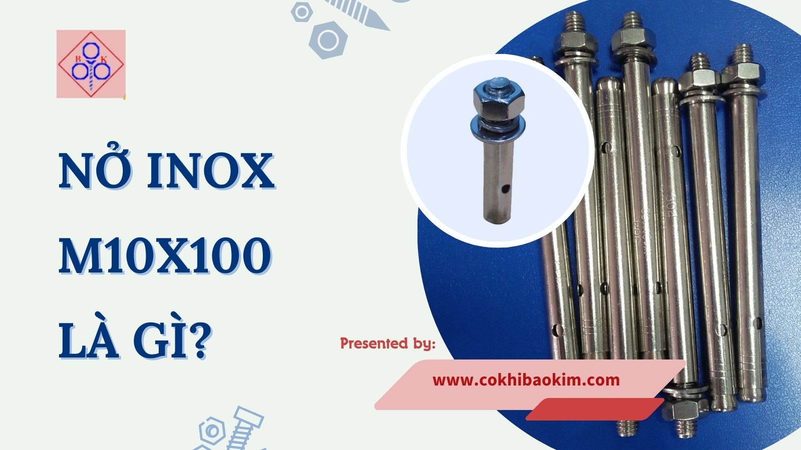 Nở inox m10x100 là gì?
